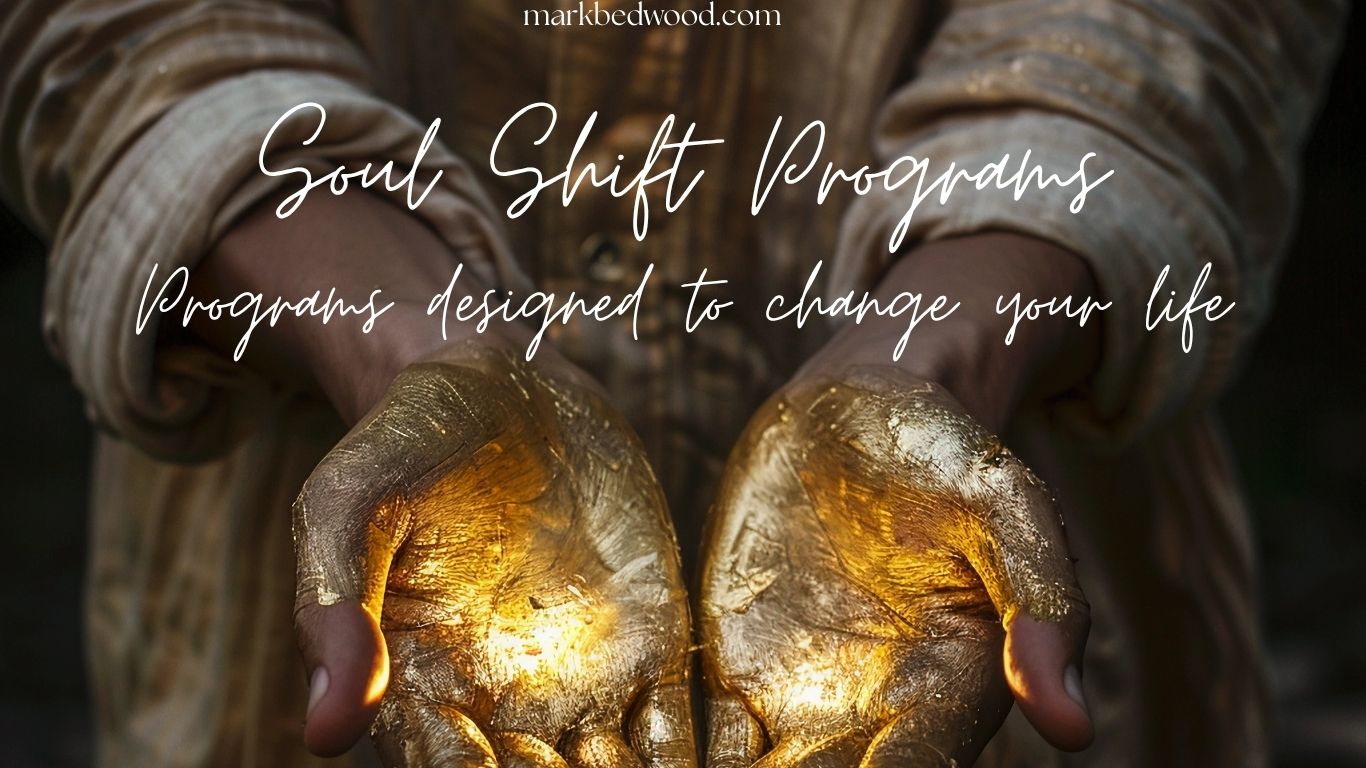 Soul Shift Programs